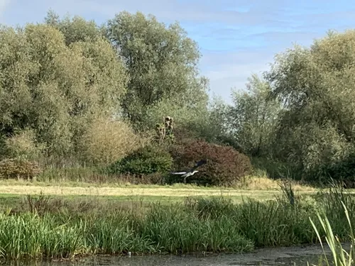 Best Hikes and Trails in Canford Park SANG | AllTrails