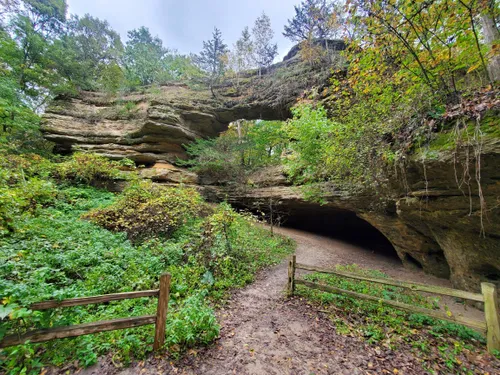 Best Hikes and Trails in Natural Bridge State Park | AllTrails