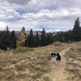 Crystal Springs Loop, Utah - 126 Reviews, Map | AllTrails