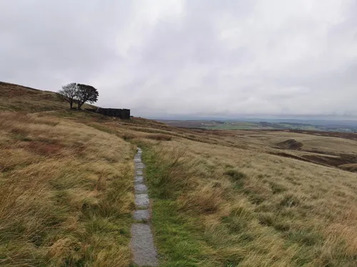 10 Best Walking Trails in Haworth | AllTrails