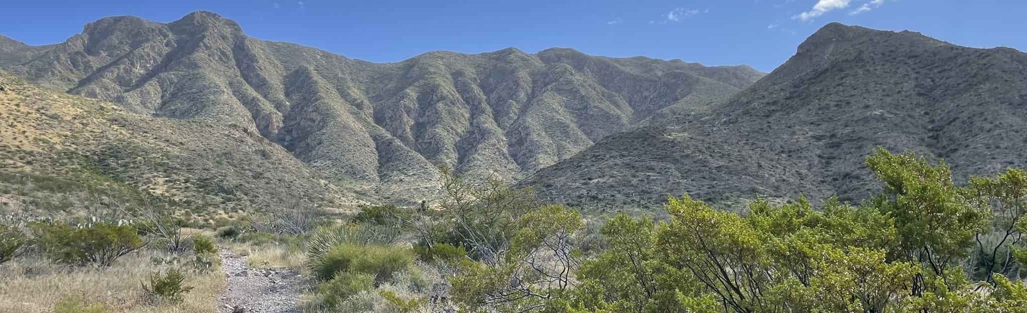 Upper Sunset and Lower Sunset Loop: 88 Reviews, Map - Texas | AllTrails