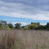 Irish Bend Covered Bridge, Oregon - 244 Reviews, Map | AllTrails