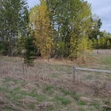 Irish Bend Covered Bridge, Oregon - 244 Reviews, Map | AllTrails