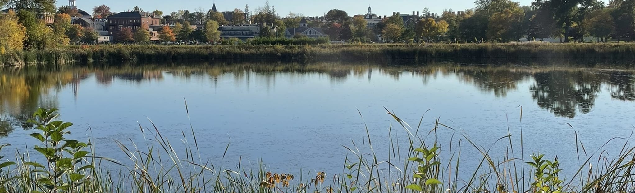 Clemson Pond Loop: 65 Reviews, Map - New Hampshire | AllTrails