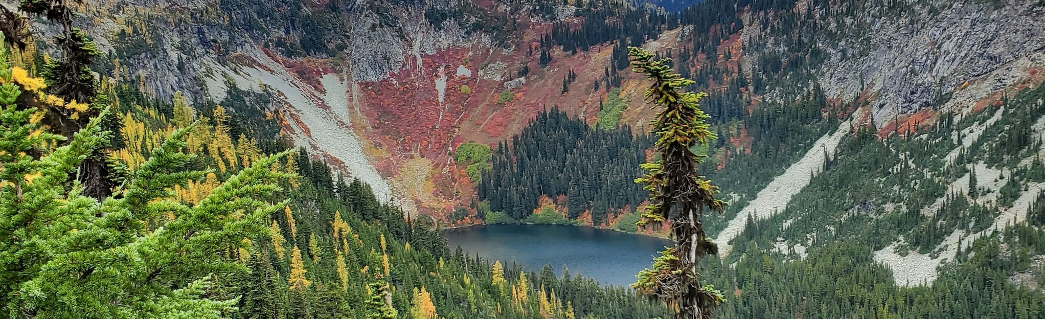 Maple Pass Trail, Washington - 7,654 Reviews, Map | AllTrails