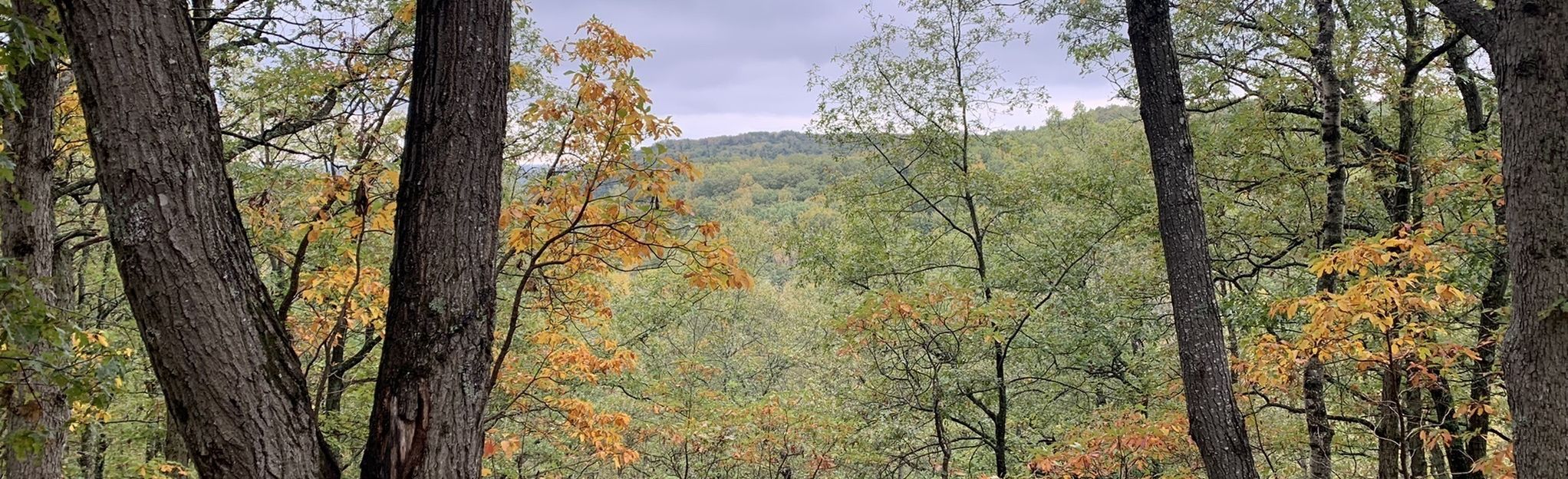 Red Bridge Lookout Tower via Manistee River Red Bridge Spur, Pole Road ...