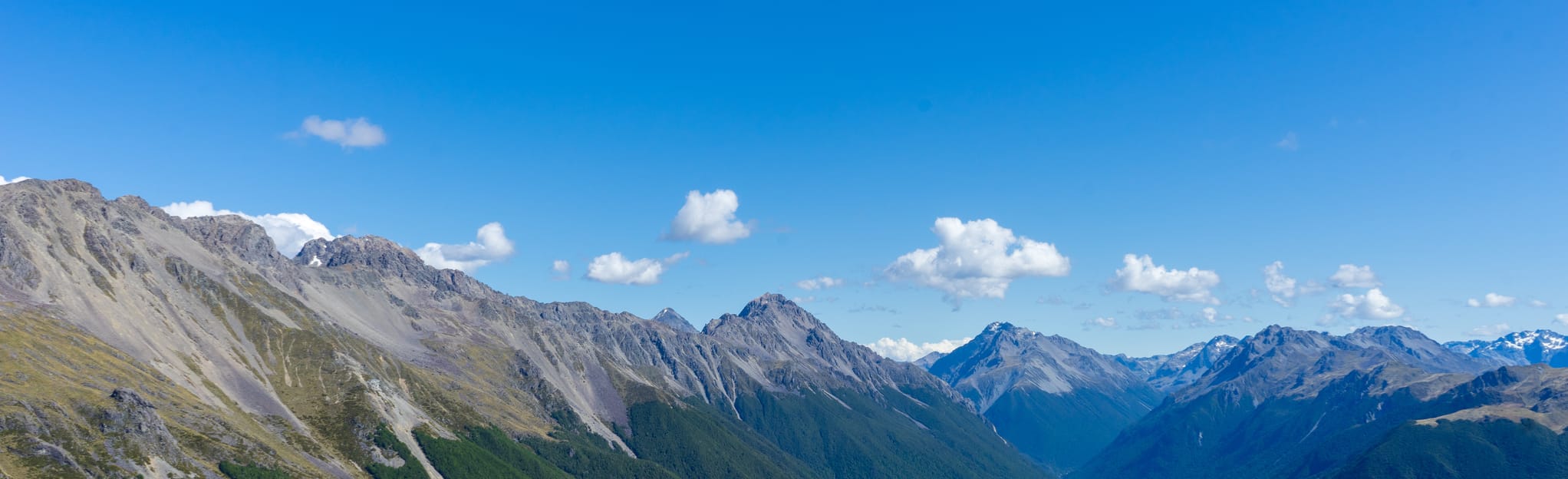 Mount Cedric Track: 6 Reviews, Map - Nelson-Tasman, New Zealand | AllTrails