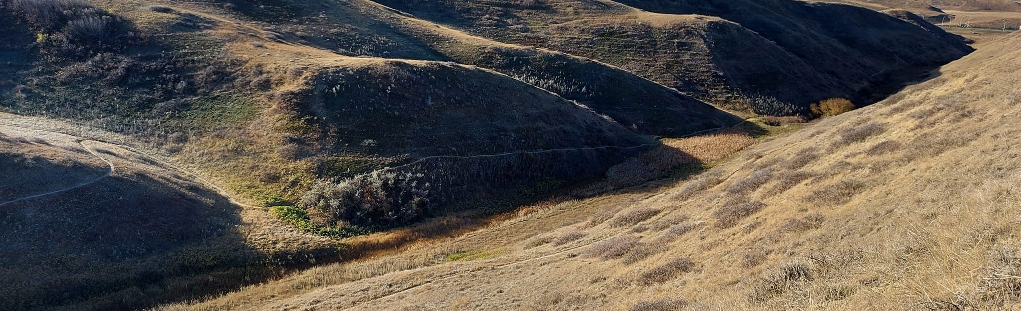 Cattail Hill Loop: 18 Reviews, 14 Photos, Map - Alberta, Canada | AllTrails