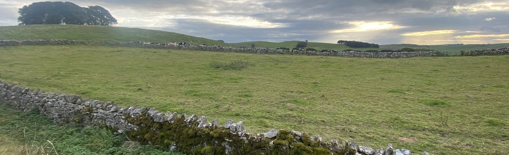 Parsley Hay and Tissington Circular, Derbyshire, England - 13 Reviews ...