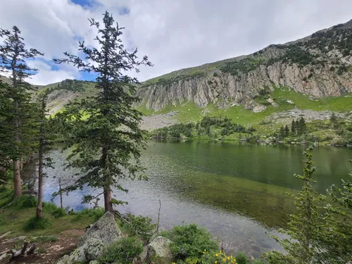 2023 Best 10 Trail Running Trails in Carson National Forest | AllTrails