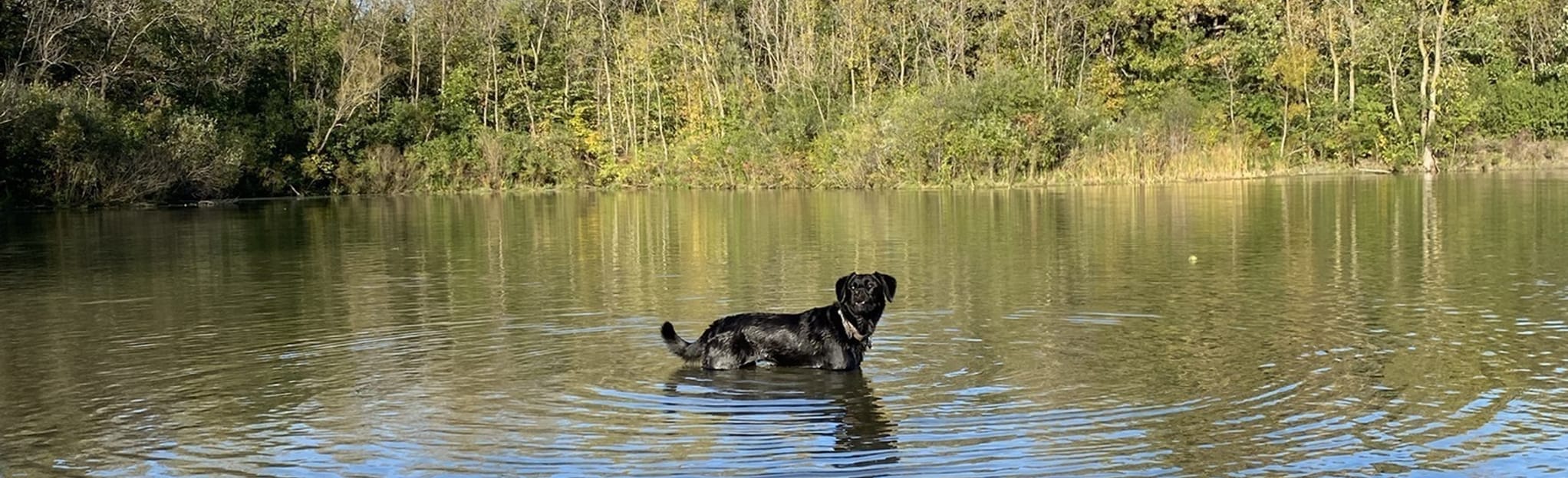 Prairie Wolf Slough Trail, Illinois - 33 Reviews, Map | AllTrails