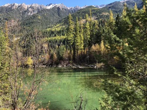 Best Forest Trails in Premier Lake Provincial Park | AllTrails