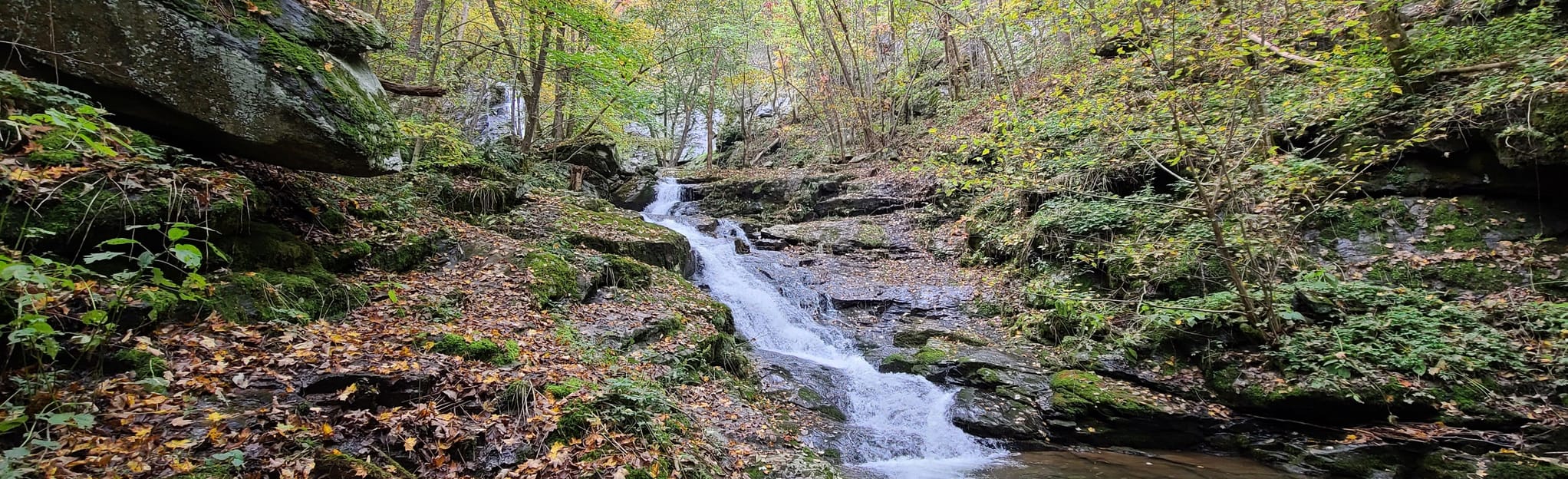 Jones Run Falls Trail, Virginia - 727 Reviews, Map | AllTrails