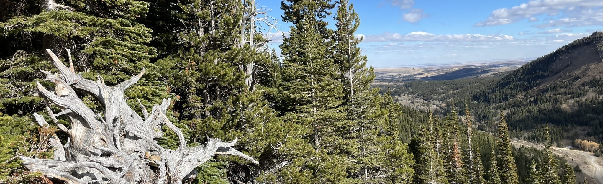 Victoria Peak and Victoria Ridge: 67 foto - Alberta, Canada | AllTrails