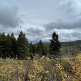 Packsaddle Lake, Idaho - 199 Reviews, Map | AllTrails