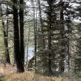 Packsaddle Lake, Idaho - 199 Reviews, Map | AllTrails