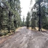 Packsaddle Lake, Idaho - 199 Reviews, Map | AllTrails
