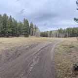 Packsaddle Lake, Idaho - 199 Reviews, Map | AllTrails