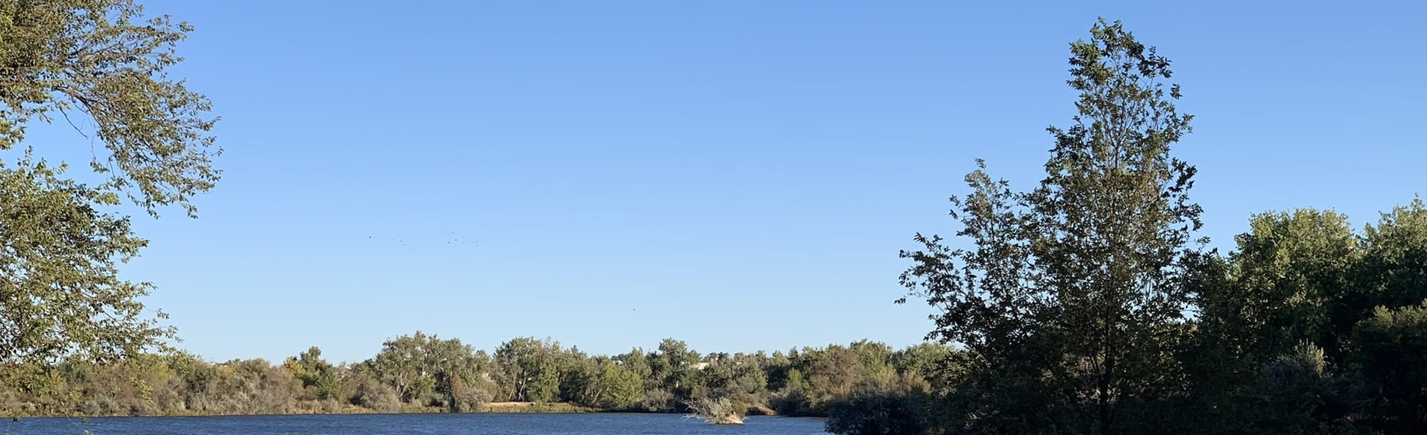 Runyon Lake Path: 77 Reviews, Map - Colorado | AllTrails