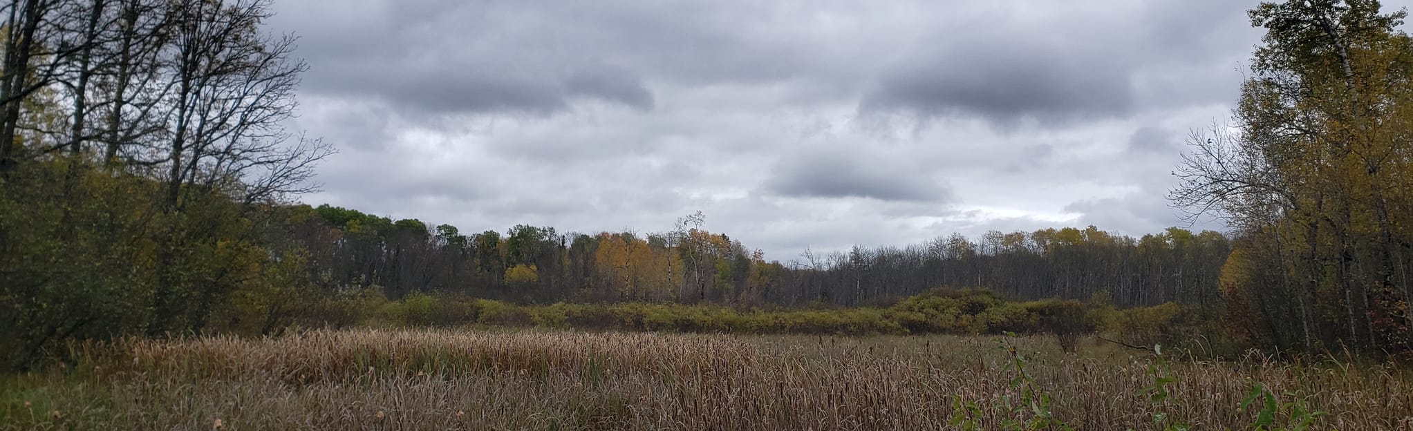 Savanna Portage Route, Minnesota - 2 Reviews, Map | AllTrails