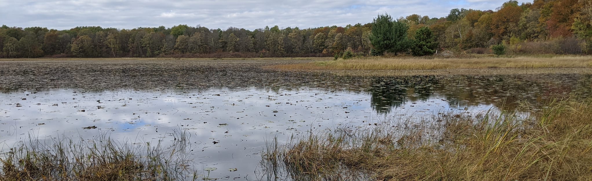 Goose Lake Loop, Minnesota - 39 Reviews, Map | AllTrails