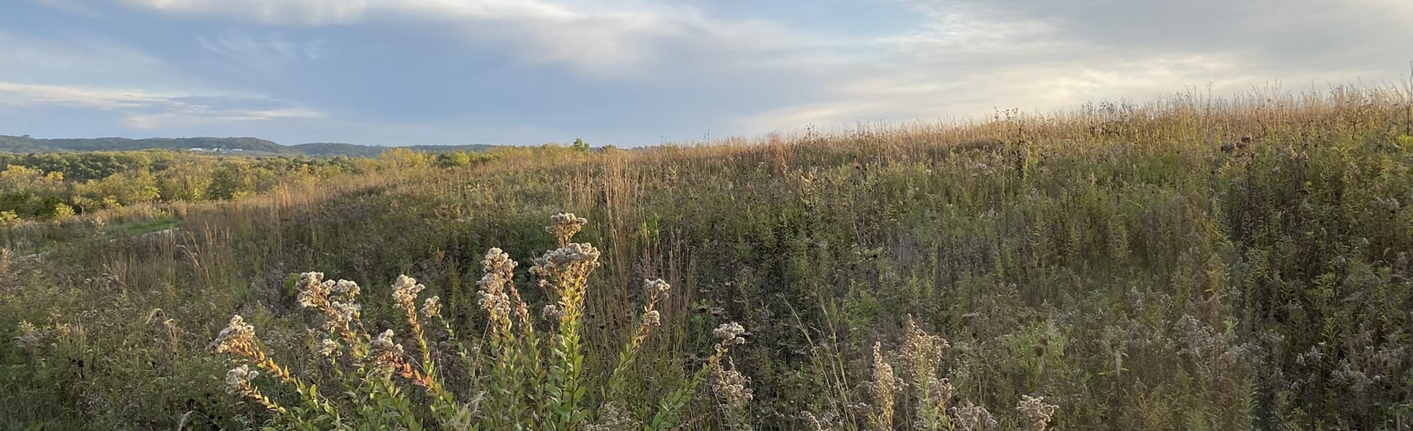 John and Alice Butler Trail, Iowa - 9 Reviews, Map | AllTrails