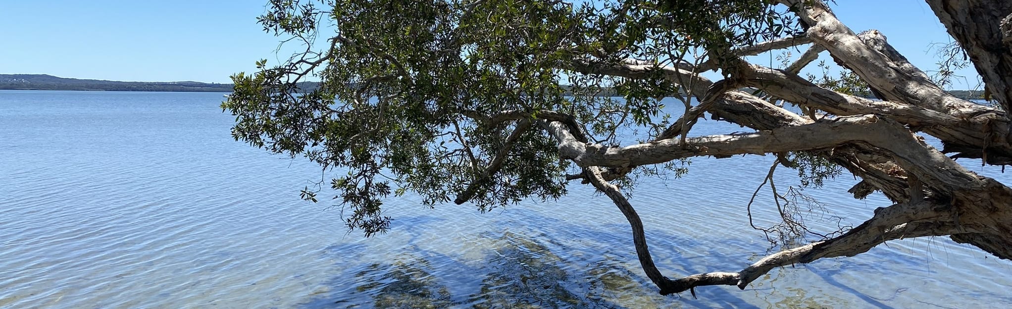 AllTrails | Lake Weyba Forest Loop: 24 Reviews, Map - Queensland, Australia