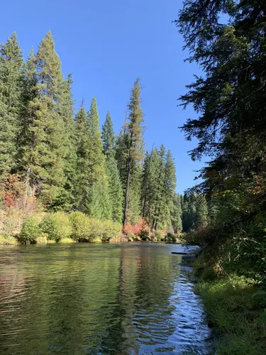 Best 10 Hikes and Trails in Rogue River–Siskiyou National Forest ...