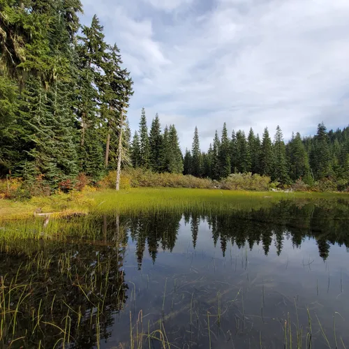 2023 Best 10 Trails and Hikes in Easton | AllTrails