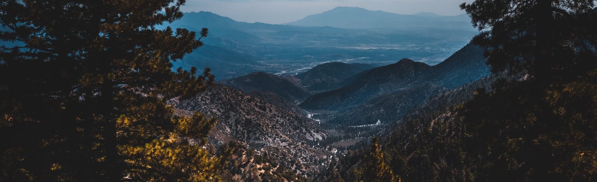 Mount San Antonio via Pacific Crest Trail and North Backbone Trail ...