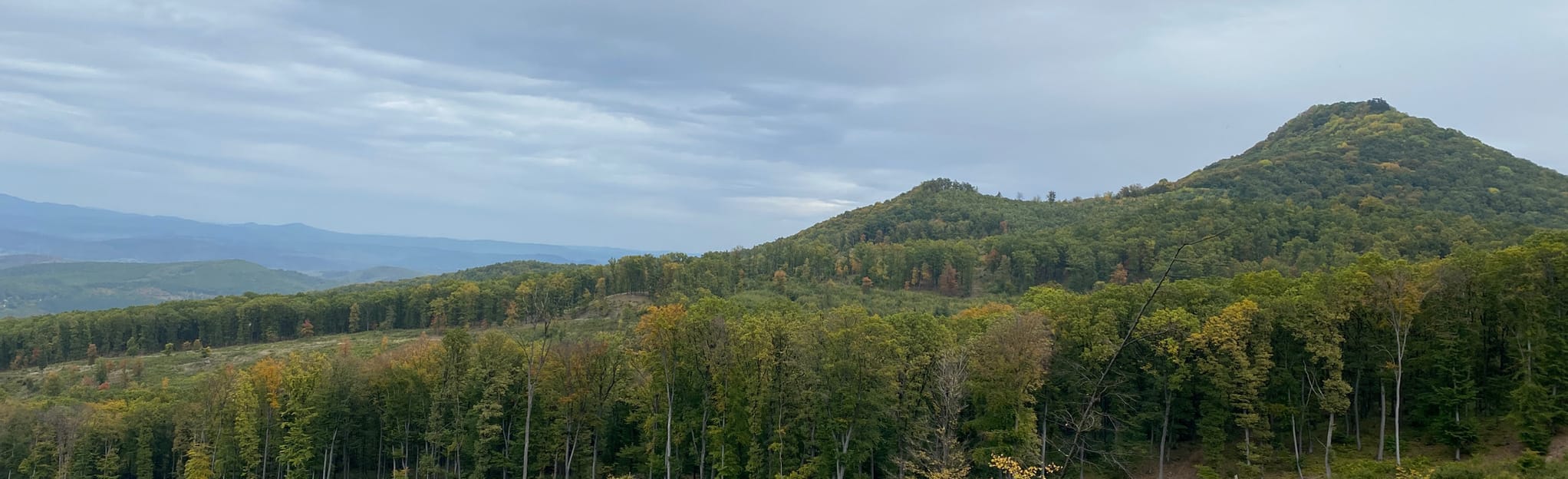 Pásztó - Fallóskút, Nógrád, Hungary - Map, Guide | AllTrails