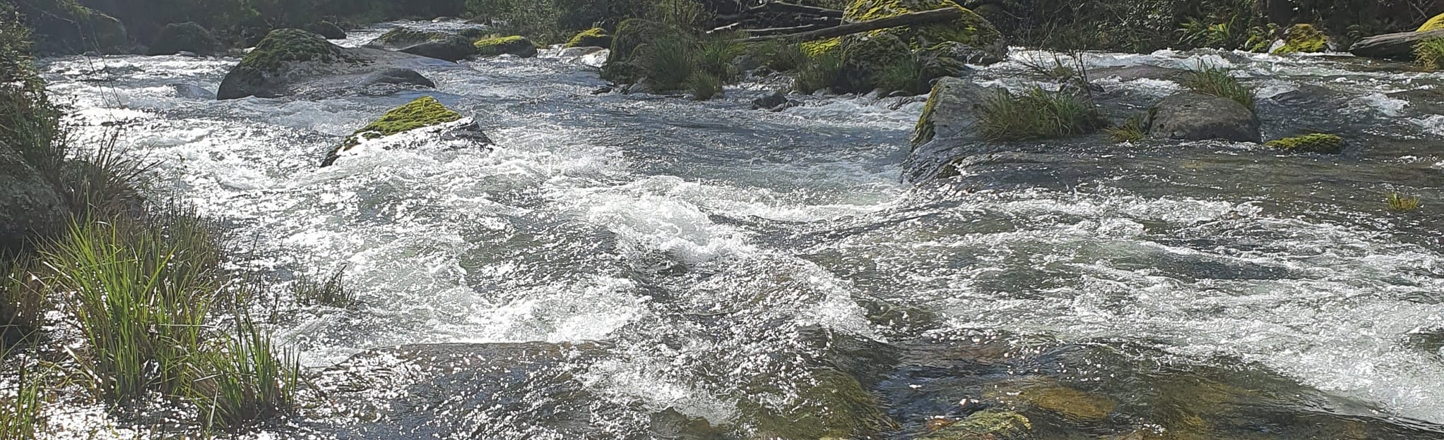 Kiewa River via West Link Track, Victoria, Australia - Map, Guide ...