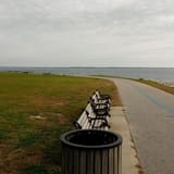 Fort Rodman Loop, Massachusetts - 111 Reviews, Map | AllTrails