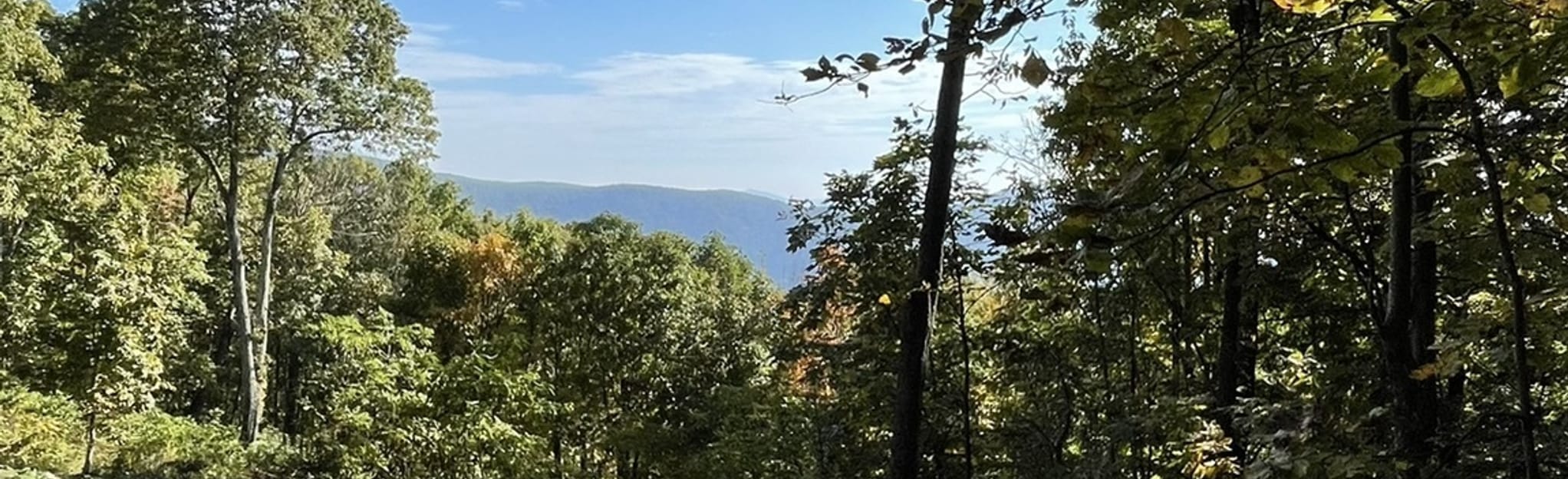 Shamokin Falls: 114 Reviews, Map - Virginia | AllTrails