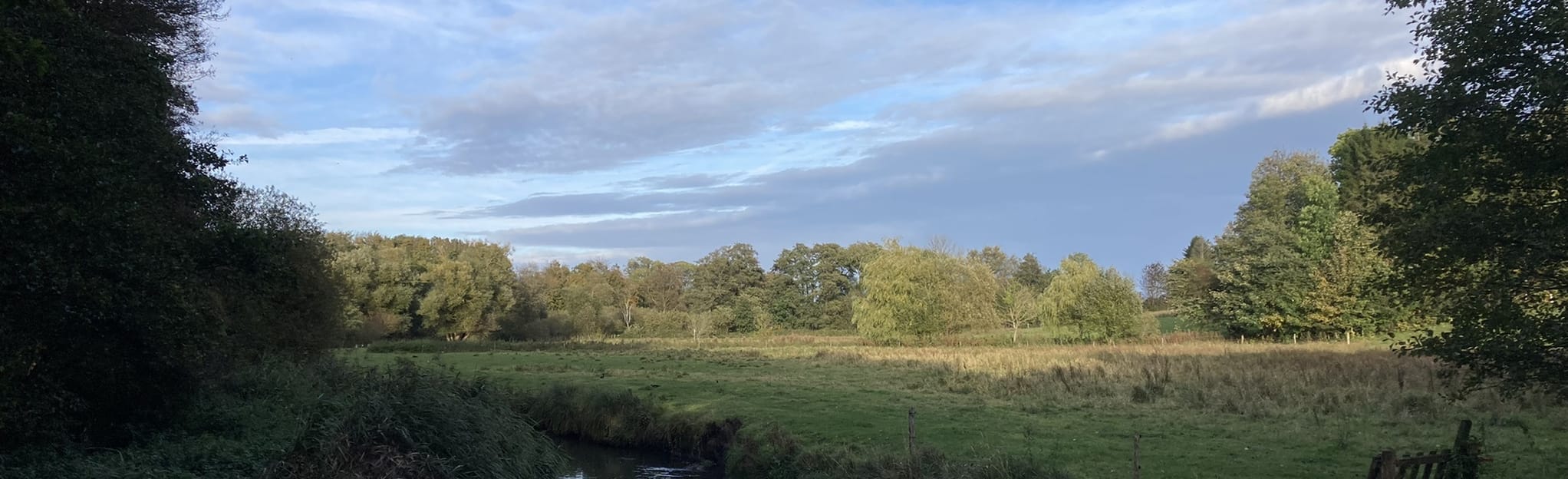 Stenløse Skov - Odense Å - Sankt Klemens: 7 Reviews, Map - Region of ...