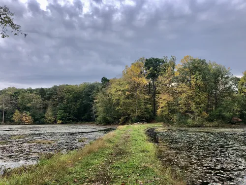 Best Hikes and Trails in Jenny Jump State Forest | AllTrails