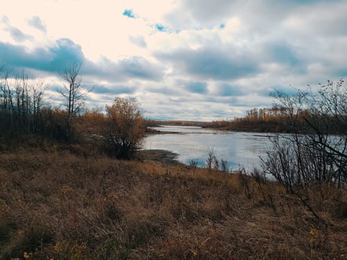 2023 Best 10 Wild Flowers Trails in Cooking Lake/Blackfoot Provincial ...