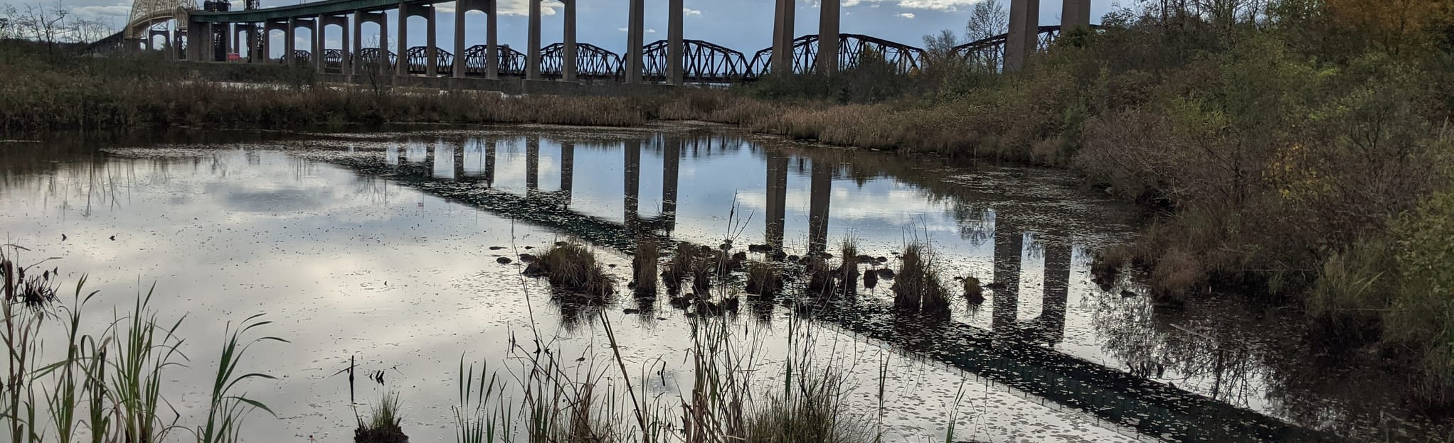 Whitefish Island Trails, Ontario, Canada - 75 Reviews, Map | AllTrails