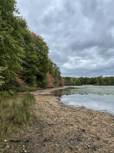 10 Best Hikes and Trails in Allegan State Game Area | AllTrails
