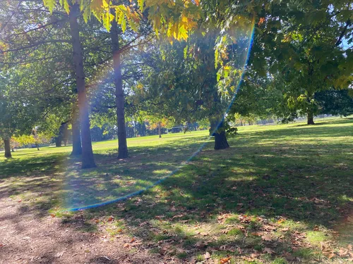 Best Hikes and Trails in Lents Park | AllTrails