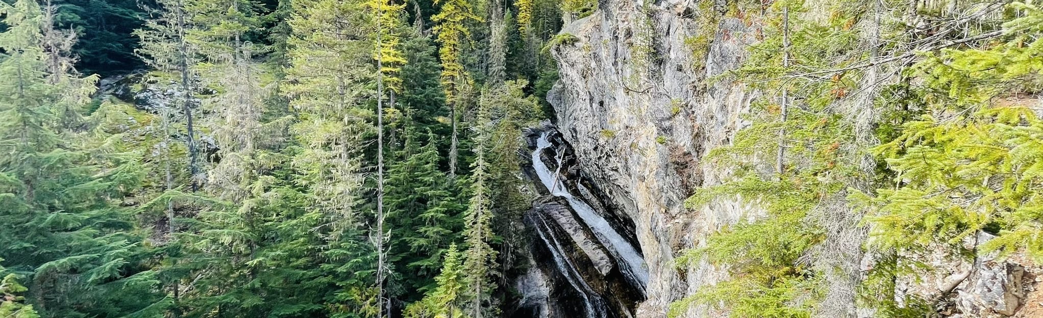 Granite Falls and Roosevelt Grove Trail, Idaho - 132 Reviews, Map ...