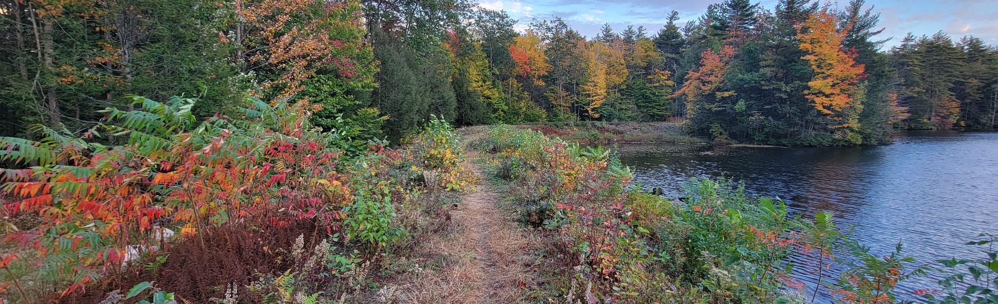 YKWD Yellow, Blue, and Purple Loop, Maine - 40 Reviews, Map | AllTrails