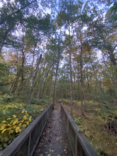 Best Hikes and Trails in Webb Mountain Discovery Zone | AllTrails