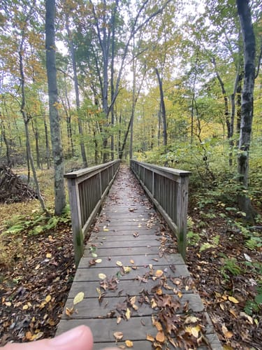 Best Hikes and Trails in Webb Mountain Discovery Zone | AllTrails