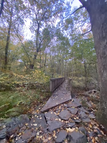 Best Hikes and Trails in Webb Mountain Discovery Zone | AllTrails