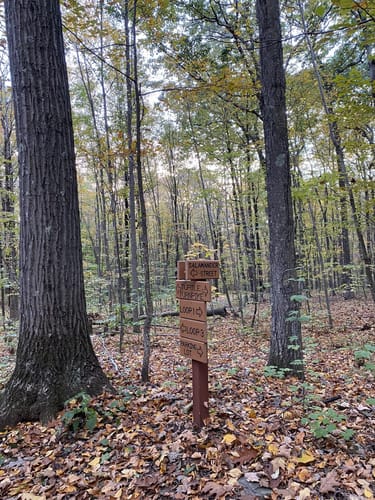 Best Hikes and Trails in Webb Mountain Discovery Zone | AllTrails