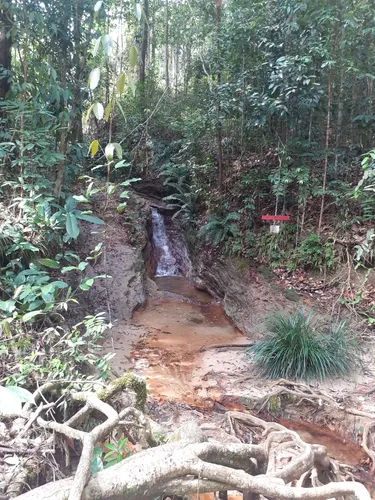 10 Best Waterfall Trails in Brunei | AllTrails