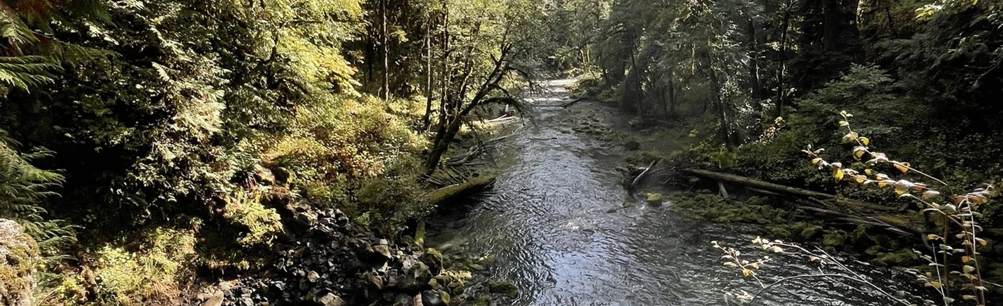 Kalama Falls Trail : 638 Photos - État de Washington | Randonnée ...