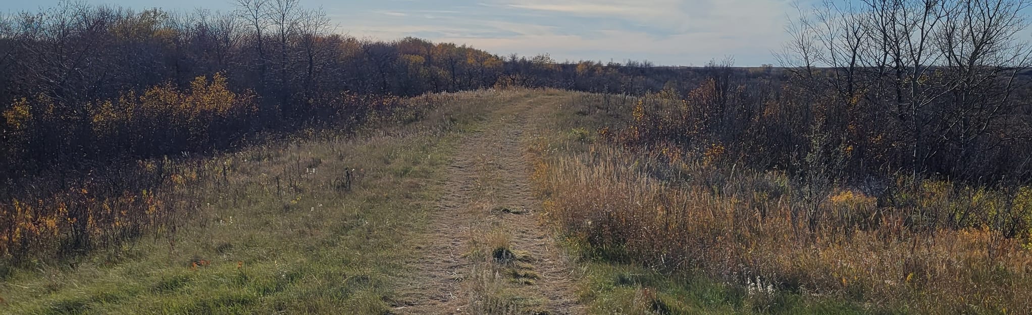 Kinookimaw Trail | Map, Guide - Saskatchewan, Canada | AllTrails