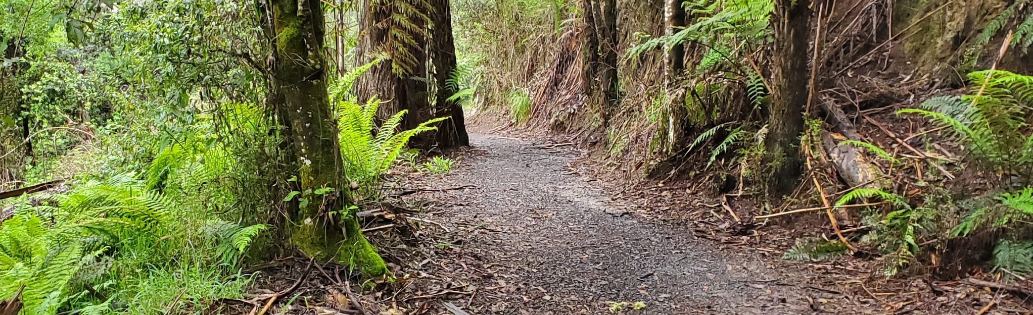 Loch Valley Tramway Walk, Victoria, Australia - 54 Reviews, Map | AllTrails